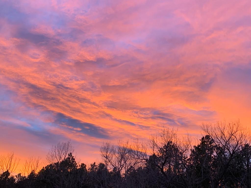 Do You Believe in Science? – End Times Berean